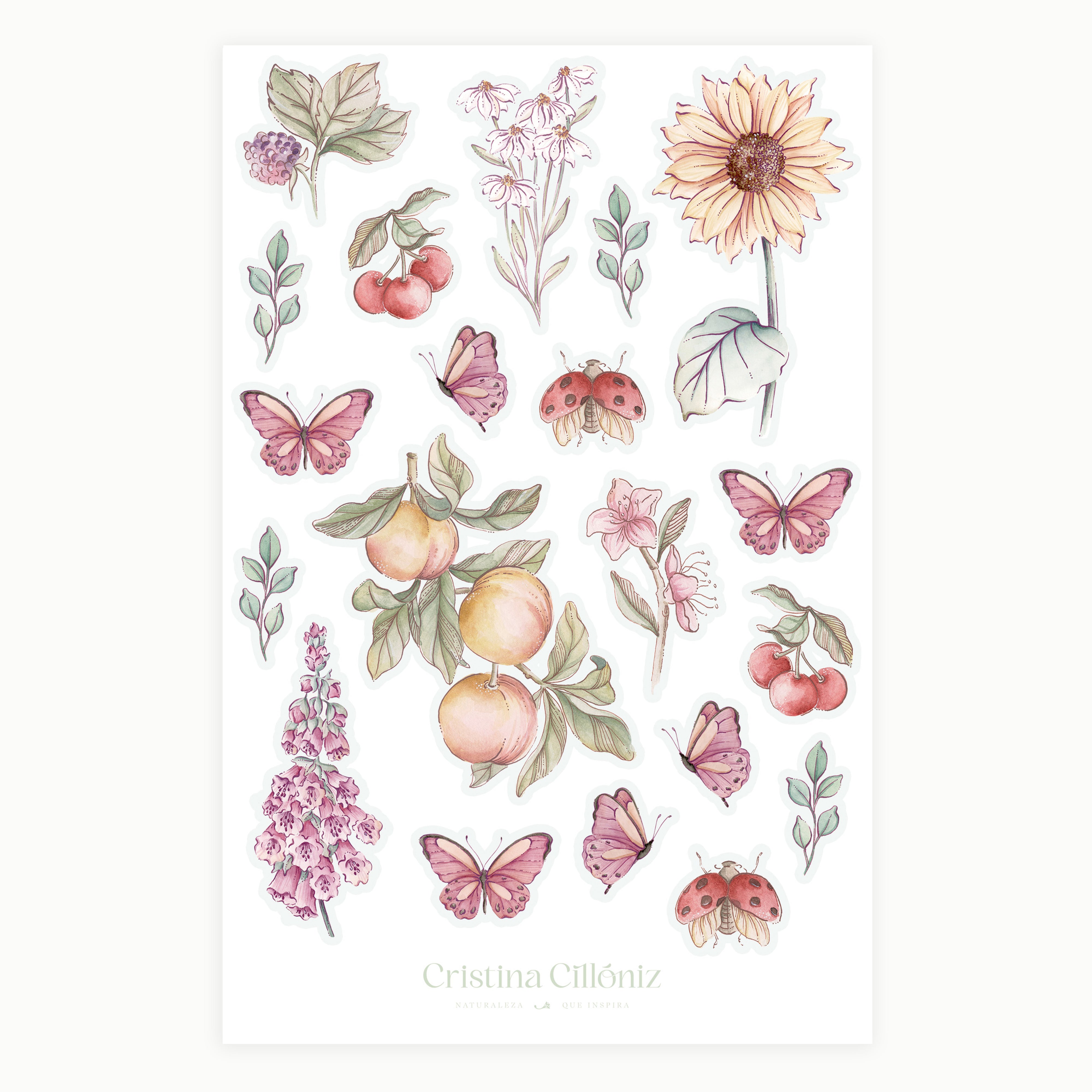 PACK DE STICKERS DECORATIVOS – Cristina Cilloniz